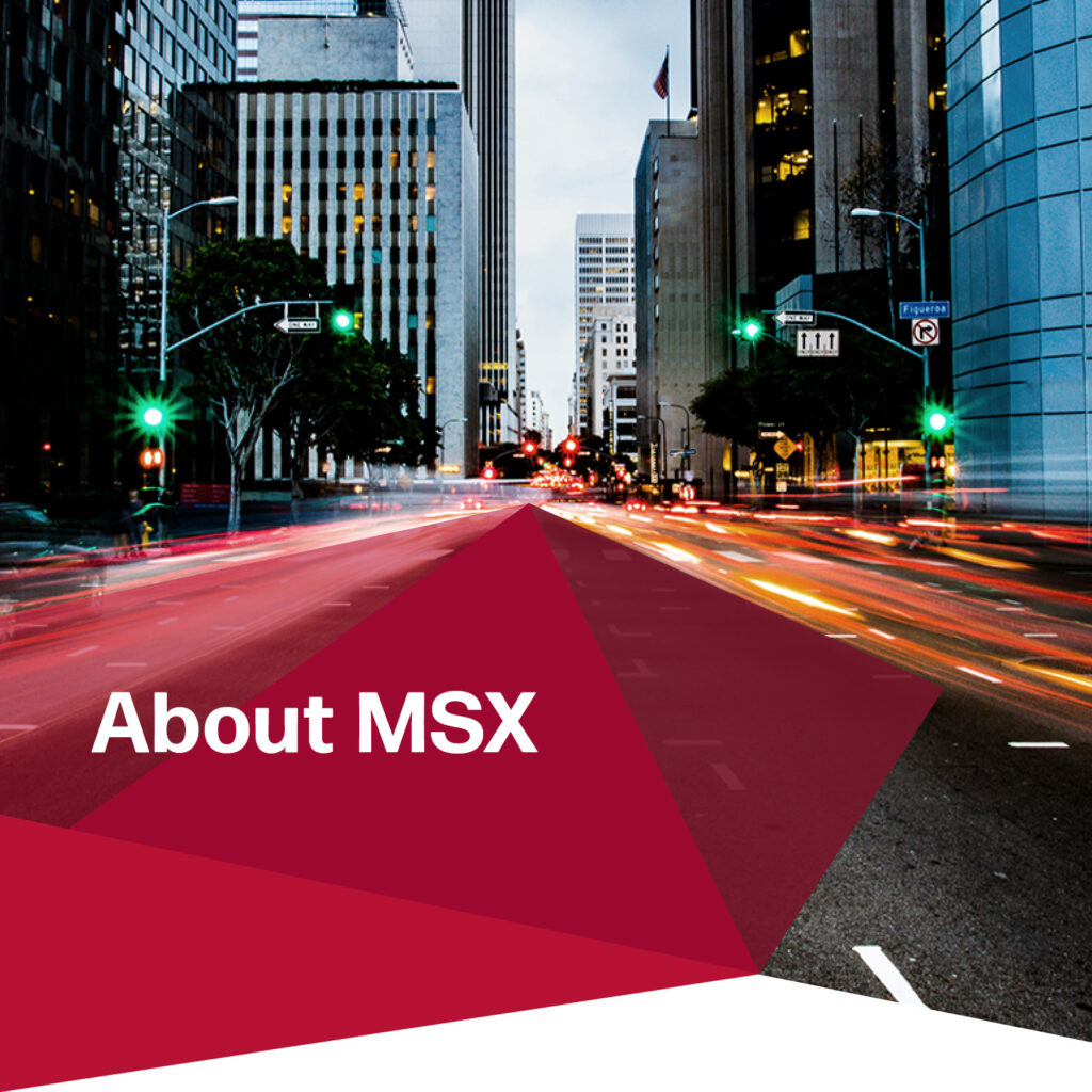 We are msxi - MSXI