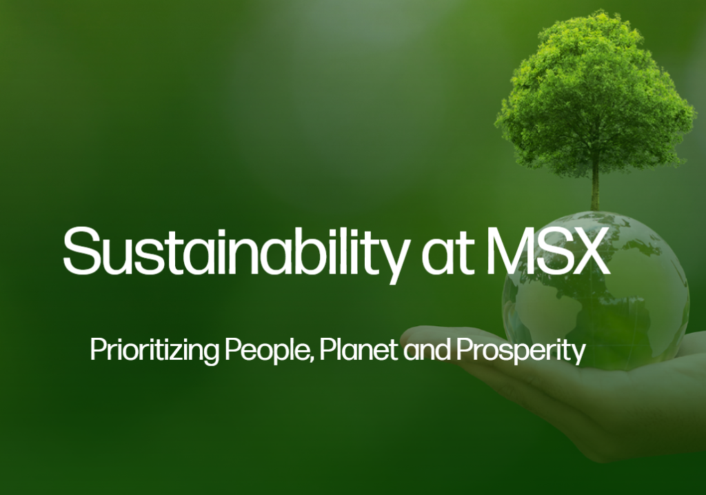 Sustainability - MSXI